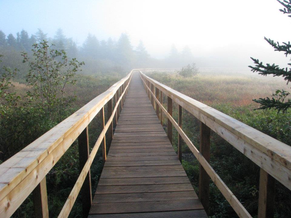 Sights of Springdale | Town of Springdale