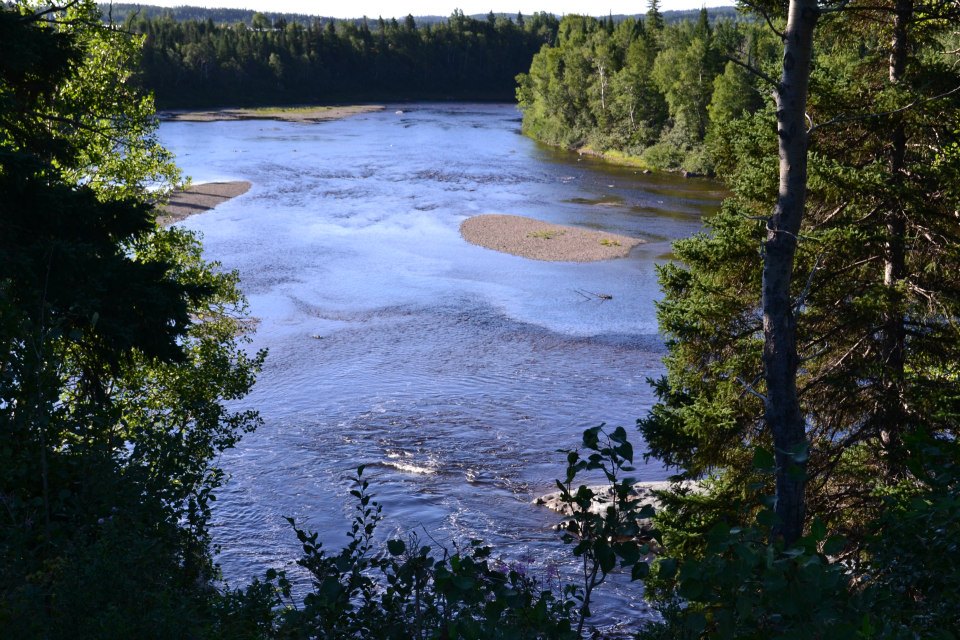 Home | Town of Springdale